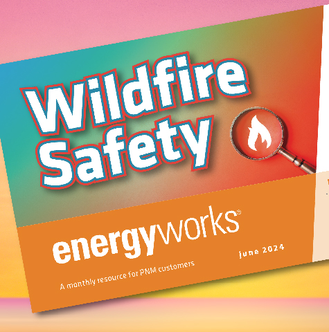 PNM | Public Service Company of New Mexico - pnmprod - pnm.com